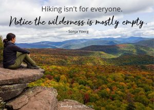 95+ Best Night Sky Quotes for a Starry Night - Traveling Found Love