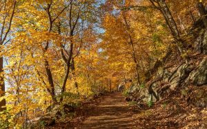 The Ultimate Guide to 11 Best Cold Spring Hiking Trails - Traveling ...