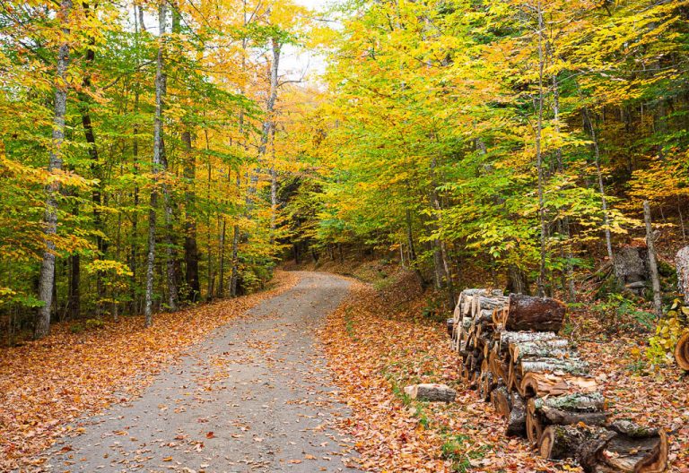 How to Hike the Striking Indian Head Trail Adirondacks + Rainbow Falls ...