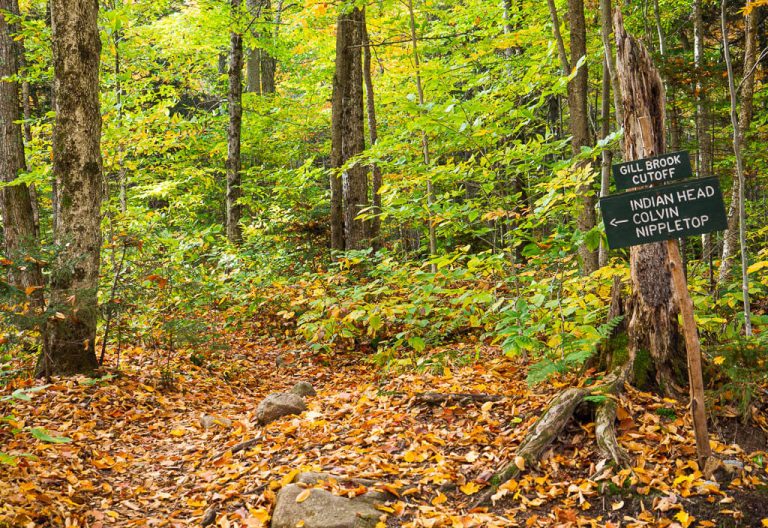 How to Hike the Striking Indian Head Trail Adirondacks + Rainbow Falls ...